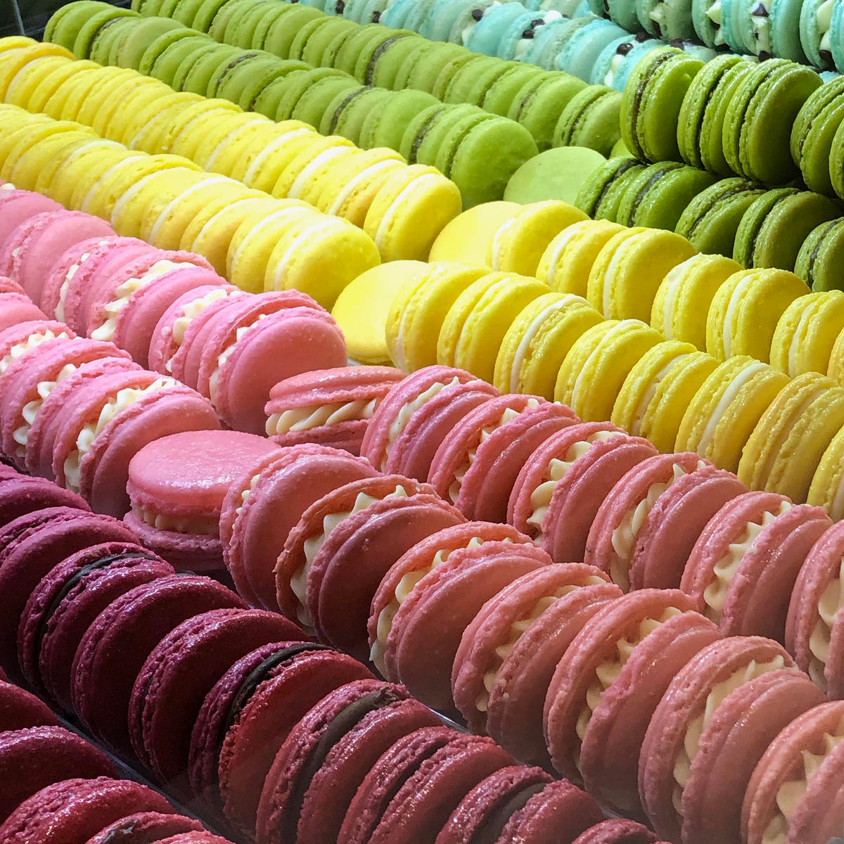 Assorted Macarons – Sciascia Confections